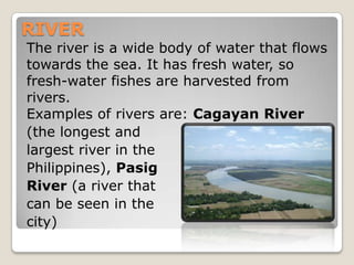 Water forms of the philippines | PPTX