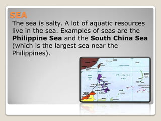 Water forms of the philippines | PPTX