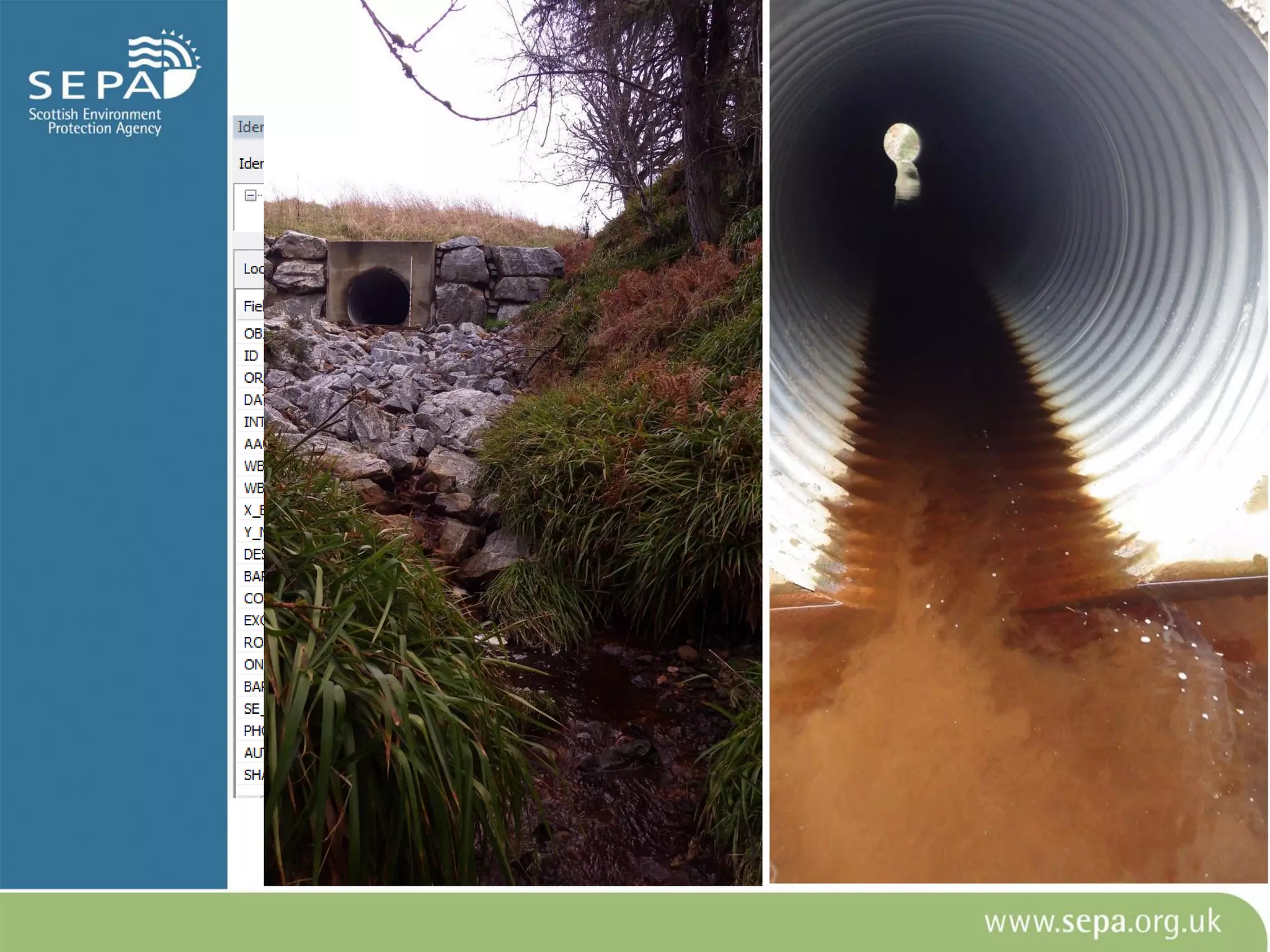 Water framework directive (WFD) fish barrier classification - Dominic ...