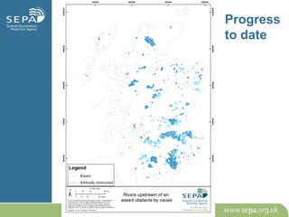 Water framework directive (WFD) fish barrier classification - Dominic ...