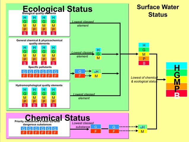 Water framework directive (WFD) fish barrier classification - Dominic ...