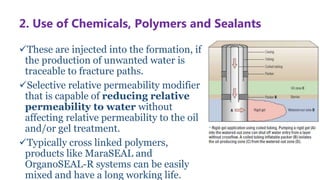 Water coning in oil wells and DWS technology | PPSX