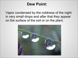 Water glossary Spain | PPT