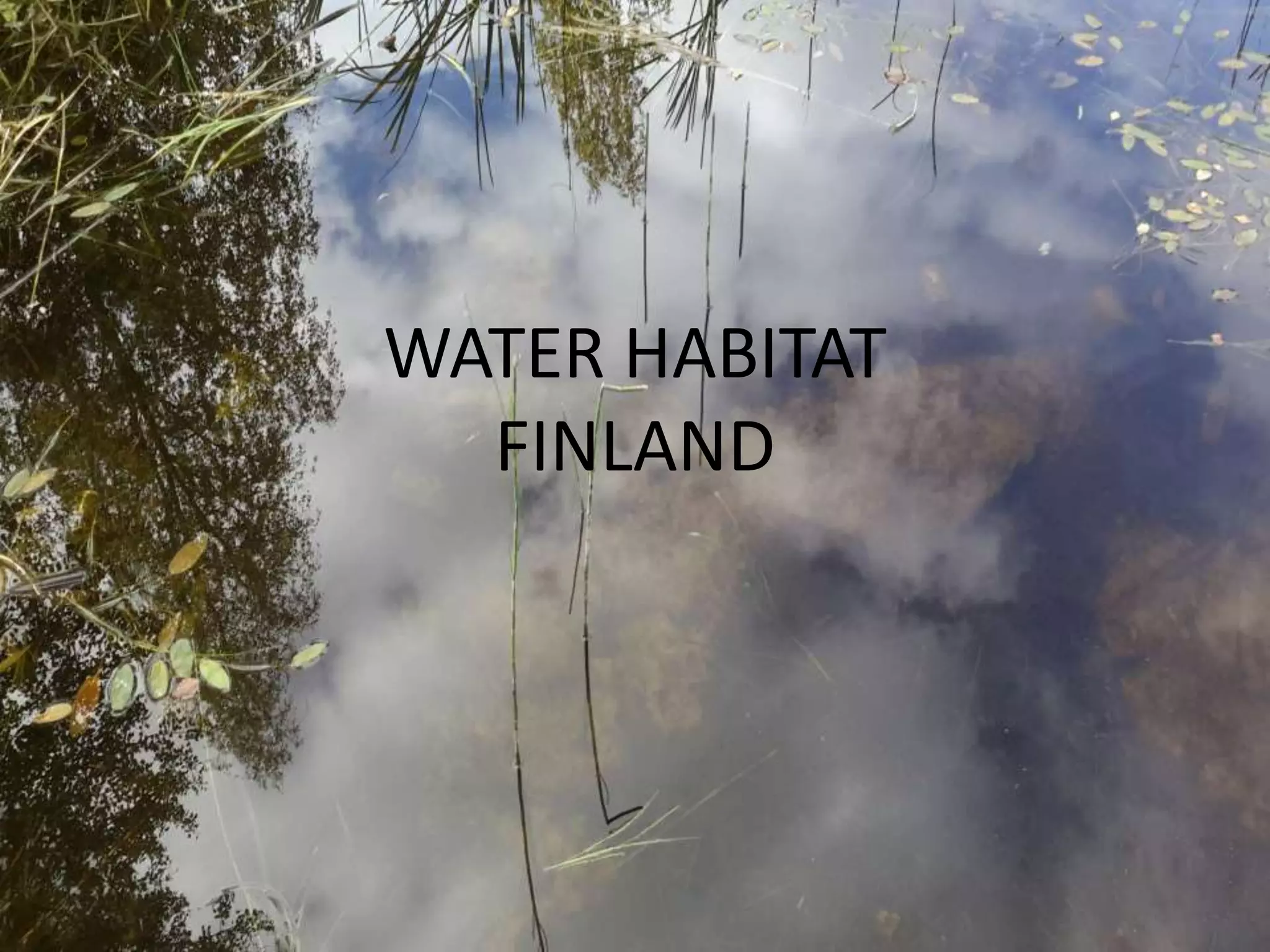 Water habitat - flora and fauna | PPTX