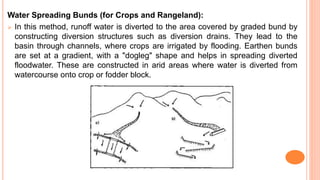 Water Harvesting.pptx