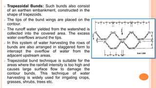 Water Harvesting.pptx