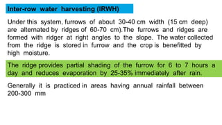 Water harvesting.ppt.pptx