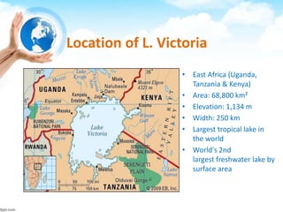 Lake victoria, Confronting The Water Hyacinth | PPTX