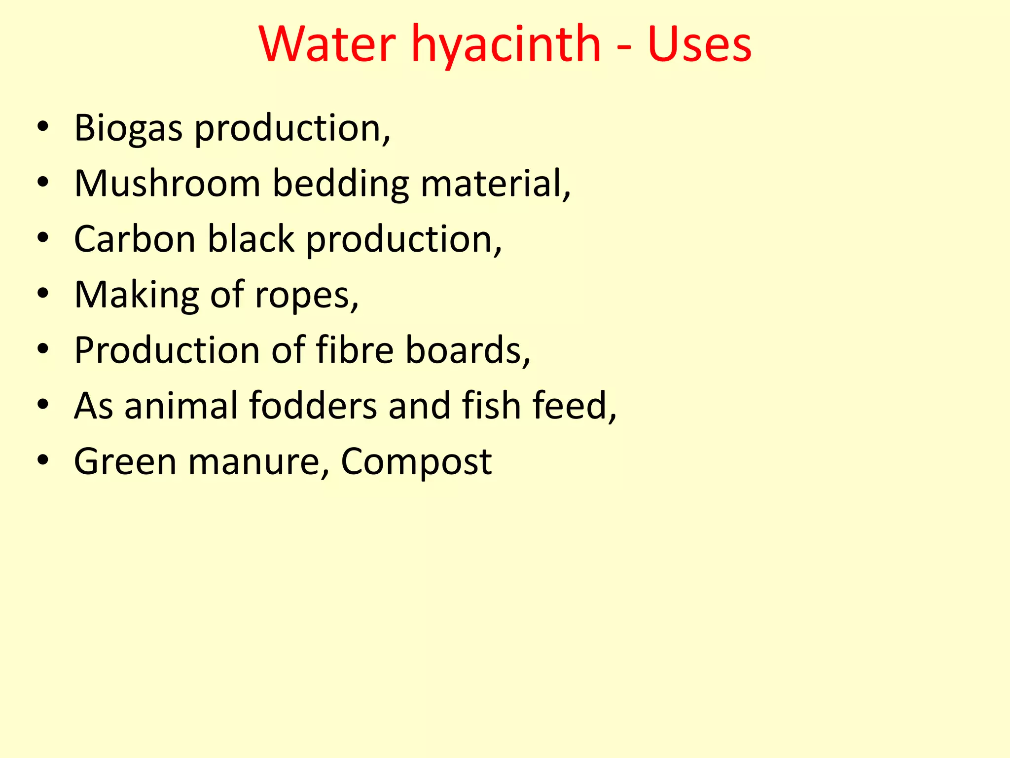 Water hyacinth.pptx