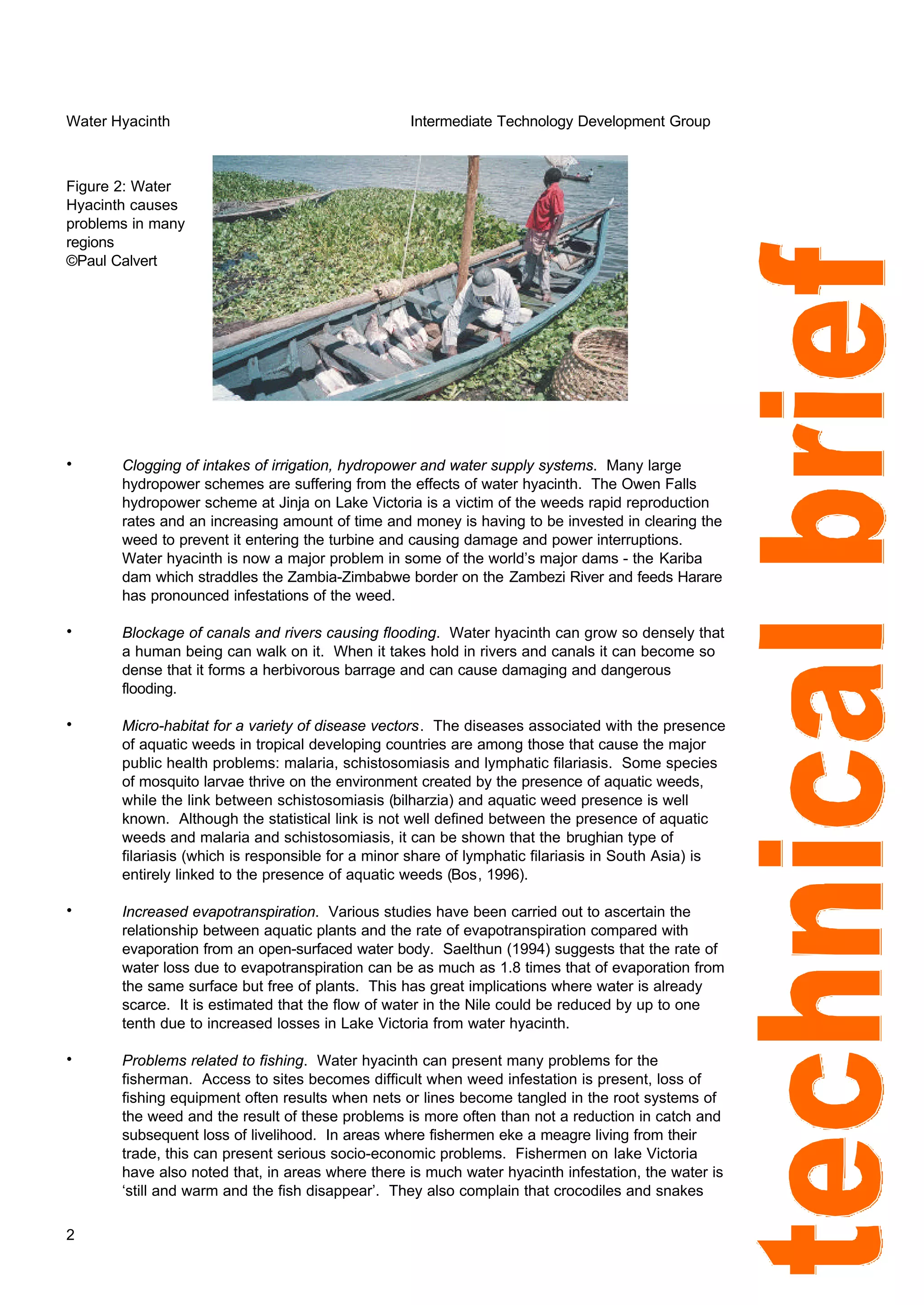 Water hyacinth control | PDF