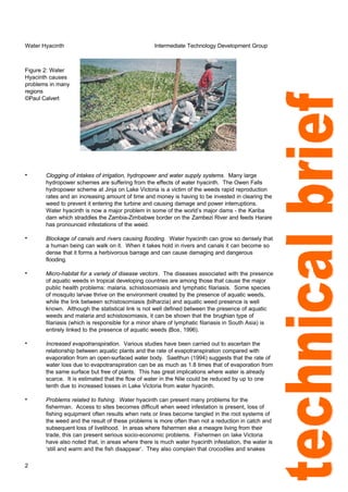 Water hyacinth control | PDF
