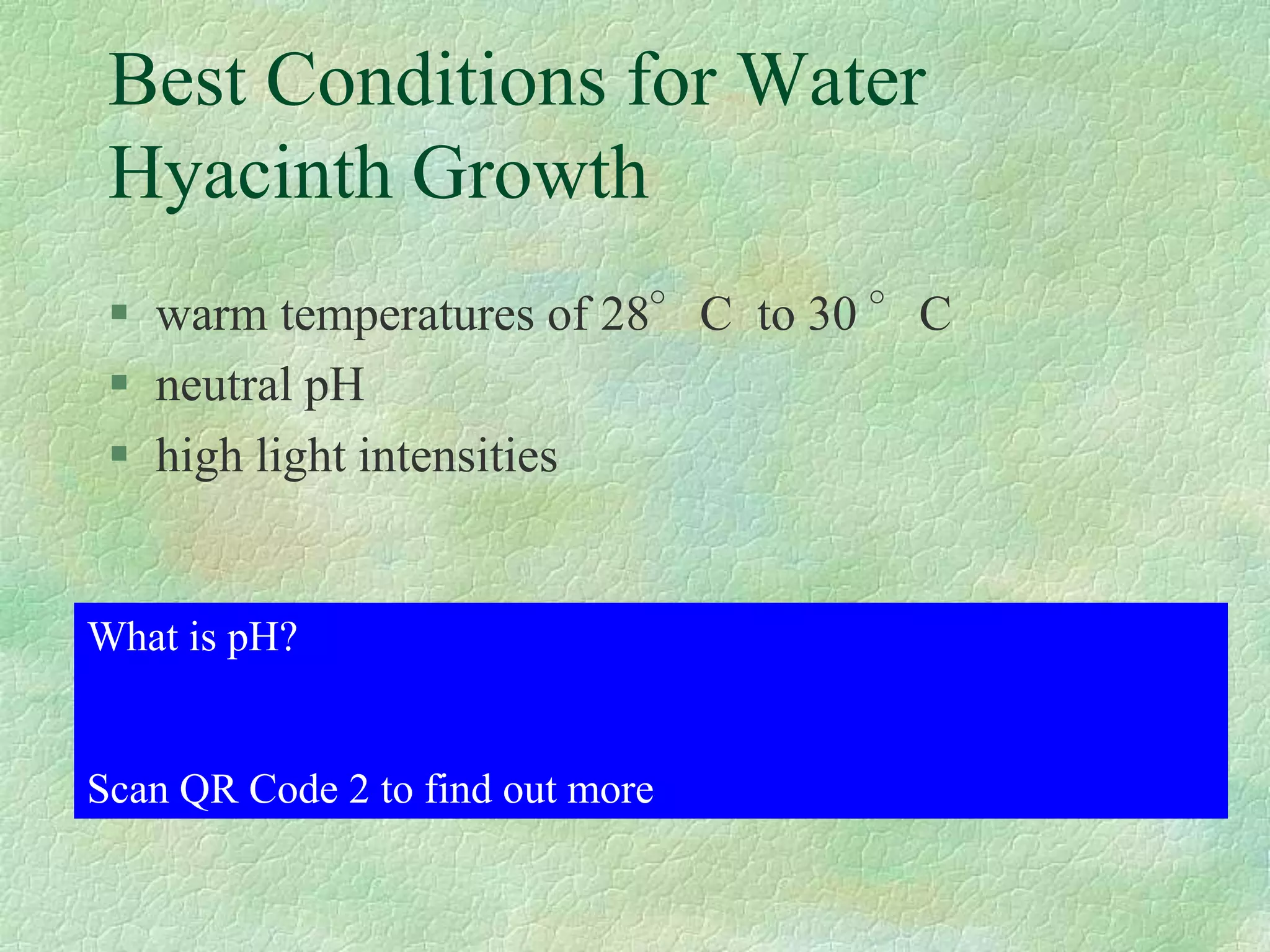Water hyacinth Facts | PPT