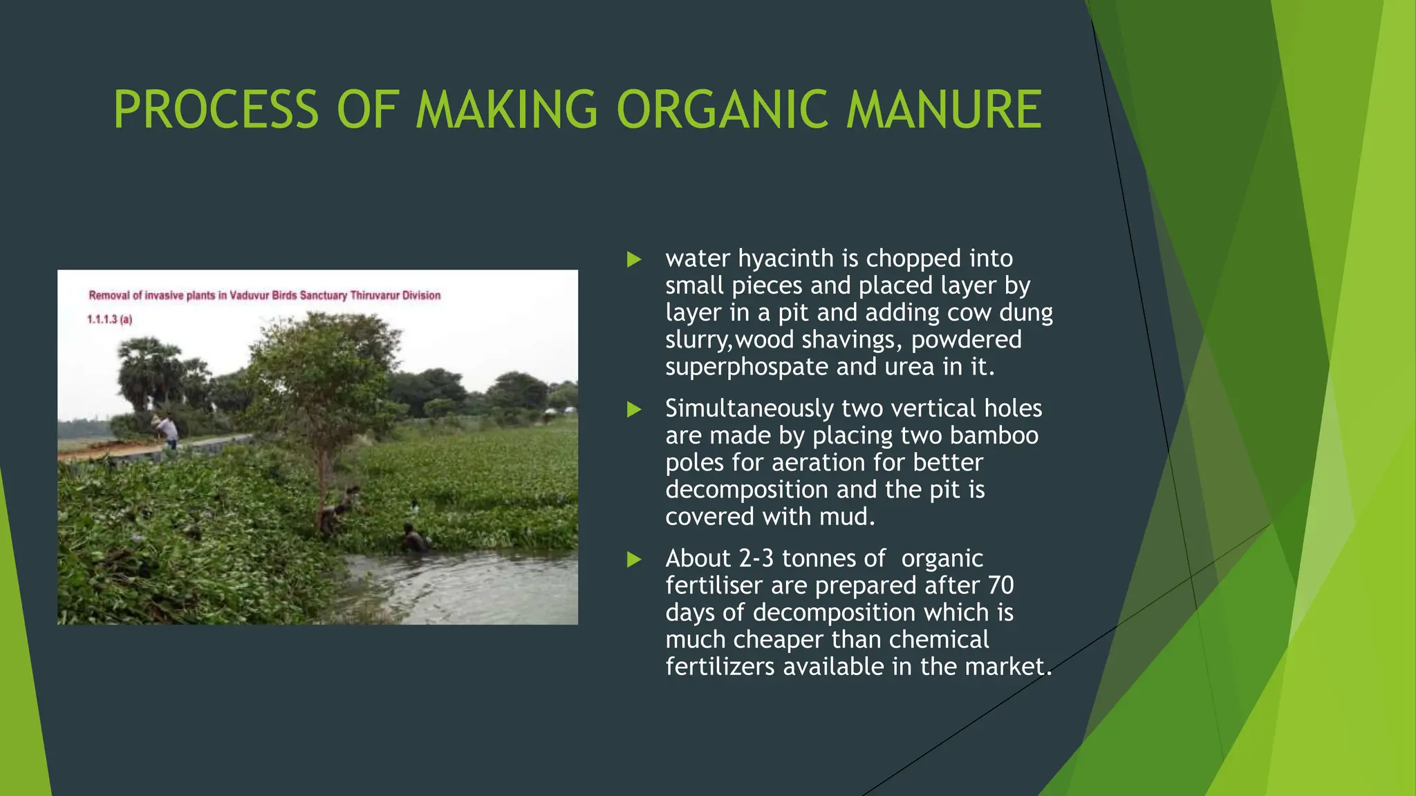 WATER HYACINTH PPT includes the process of preparation of leather | PPTX