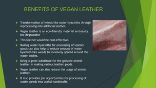 WATER HYACINTH PPT includes the process of preparation of leather | PPTX