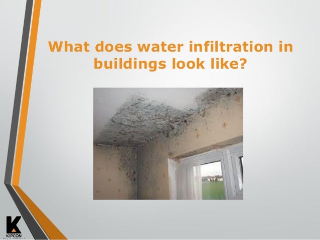 The Causes & Solutions to Water Infiltration In Your Building