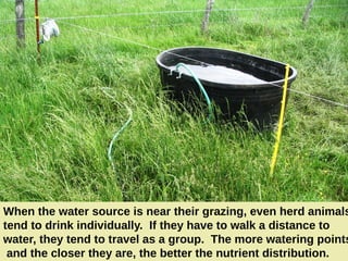 Watering Systems for Rotational Grazing | PPT