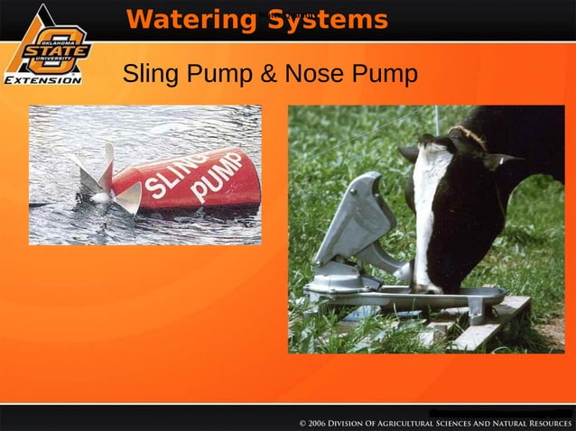 Watering Systems for Rotational Grazing | PPT