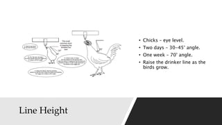 VAL Watering: Drinkers, Regulators, Sloped Houses, & Line Height | PPT