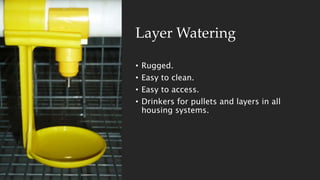 VAL Watering: Drinkers, Regulators, Sloped Houses, & Line Height | PPT