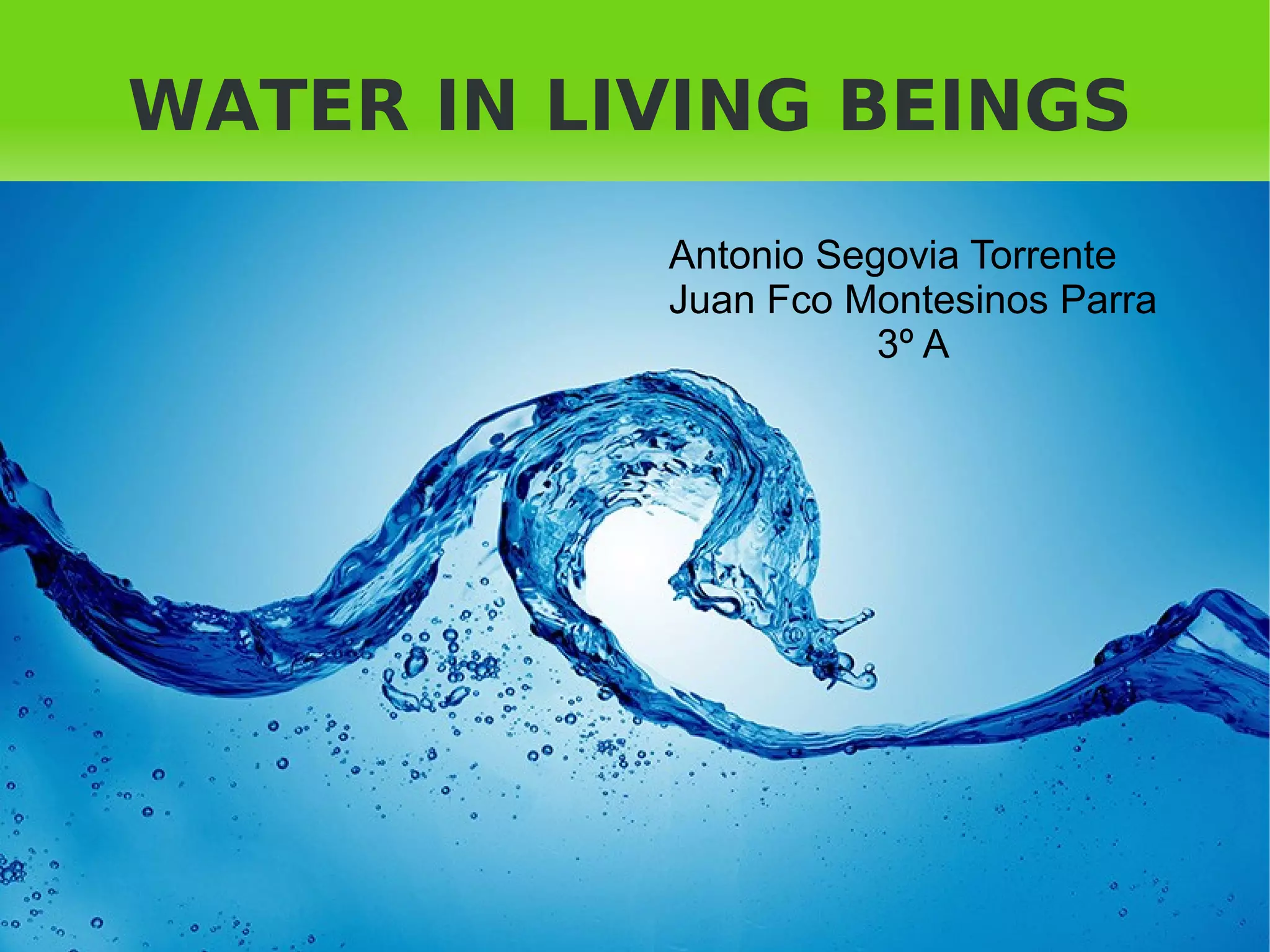 Water in living beings | PPT