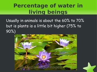 Water in living beings | PPT