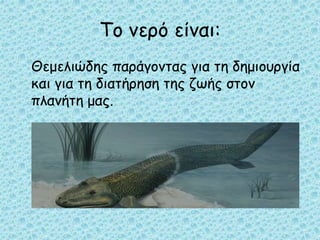 Το νερό στη ζωή μας | PPTX