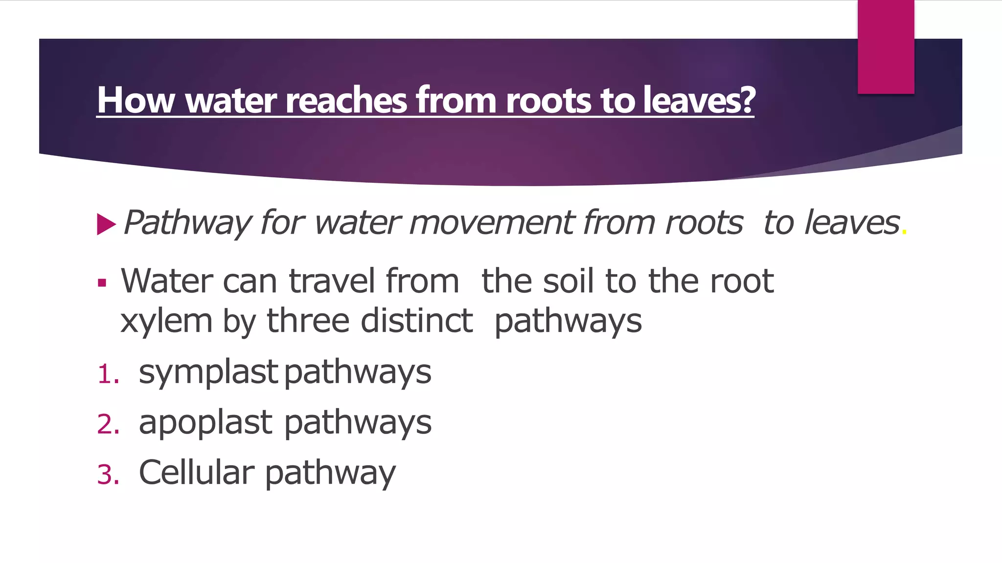 Water in soil plant atmospheric continuum(spac) | PPTX