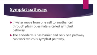 Water in soil plant atmospheric continuum(spac) | PPTX