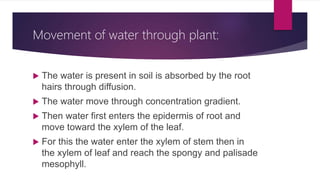 Water in soil plant atmospheric continuum(spac) | PPTX