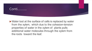 Water in soil plant atmospheric continuum(spac) | PPTX
