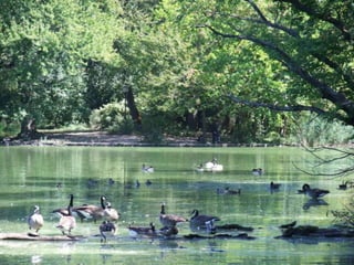 Water is all around us | PPTX