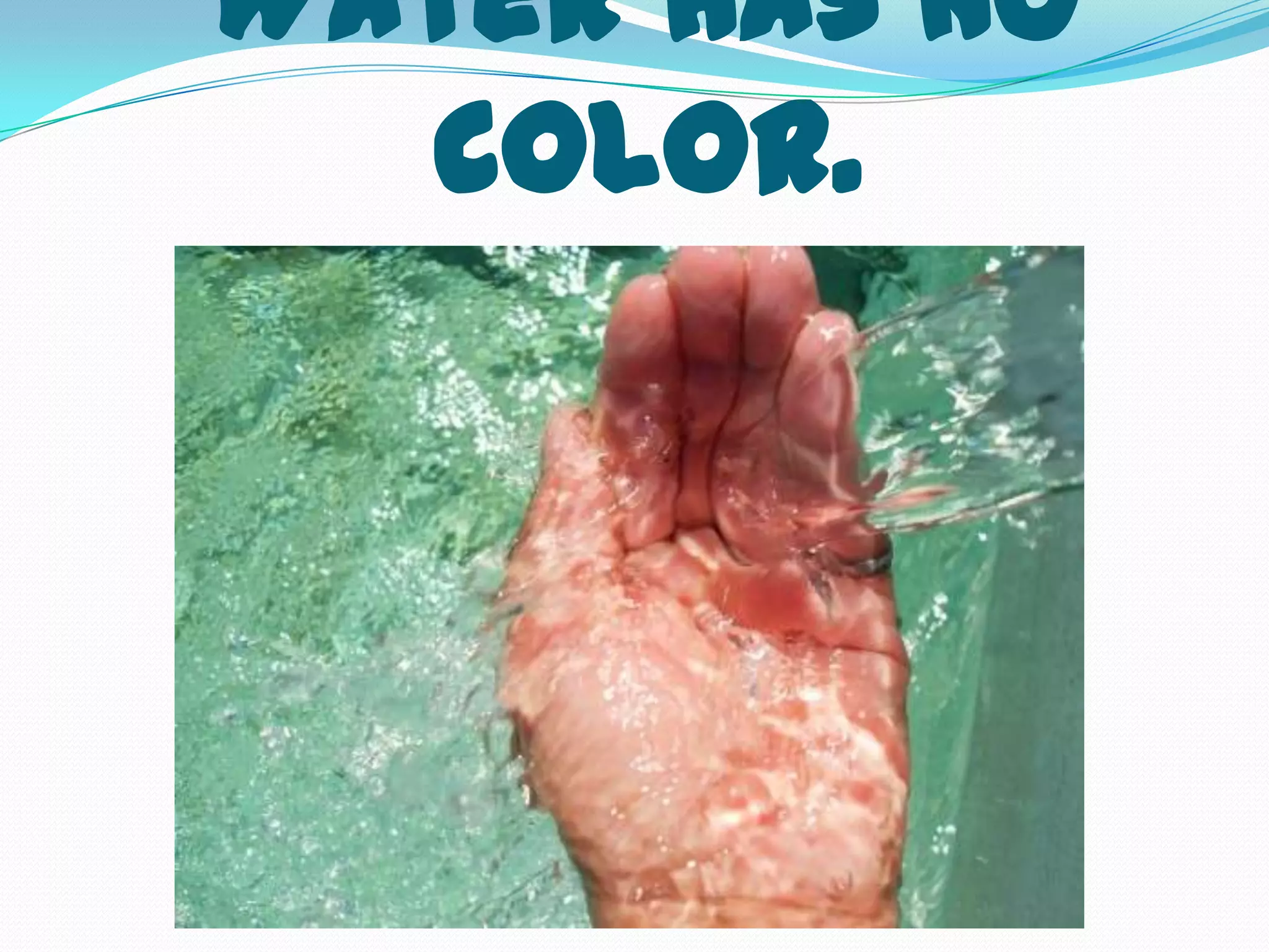 Water is everywhere | PPTX