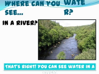 Water is everywhere | PPTX