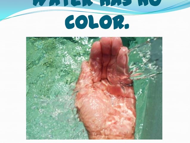 Water is everywhere | PPTX