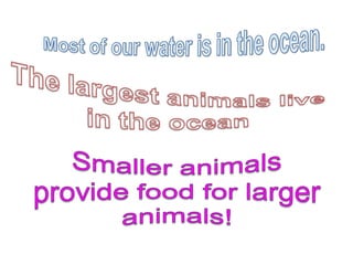 Water is life | PPT
