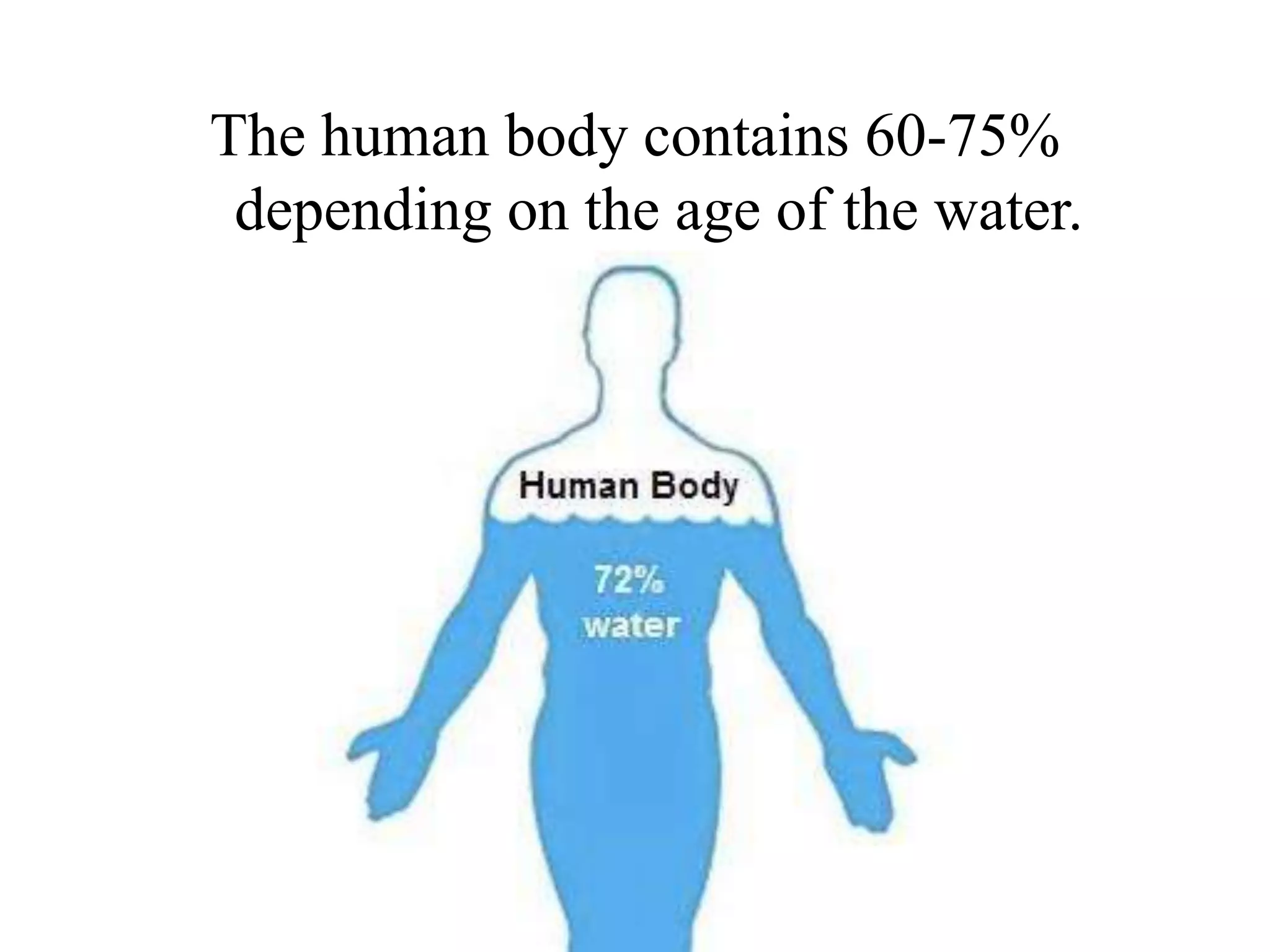 Water is the basis of health | PPT