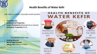 Water kefir a potential ointment | PPTX