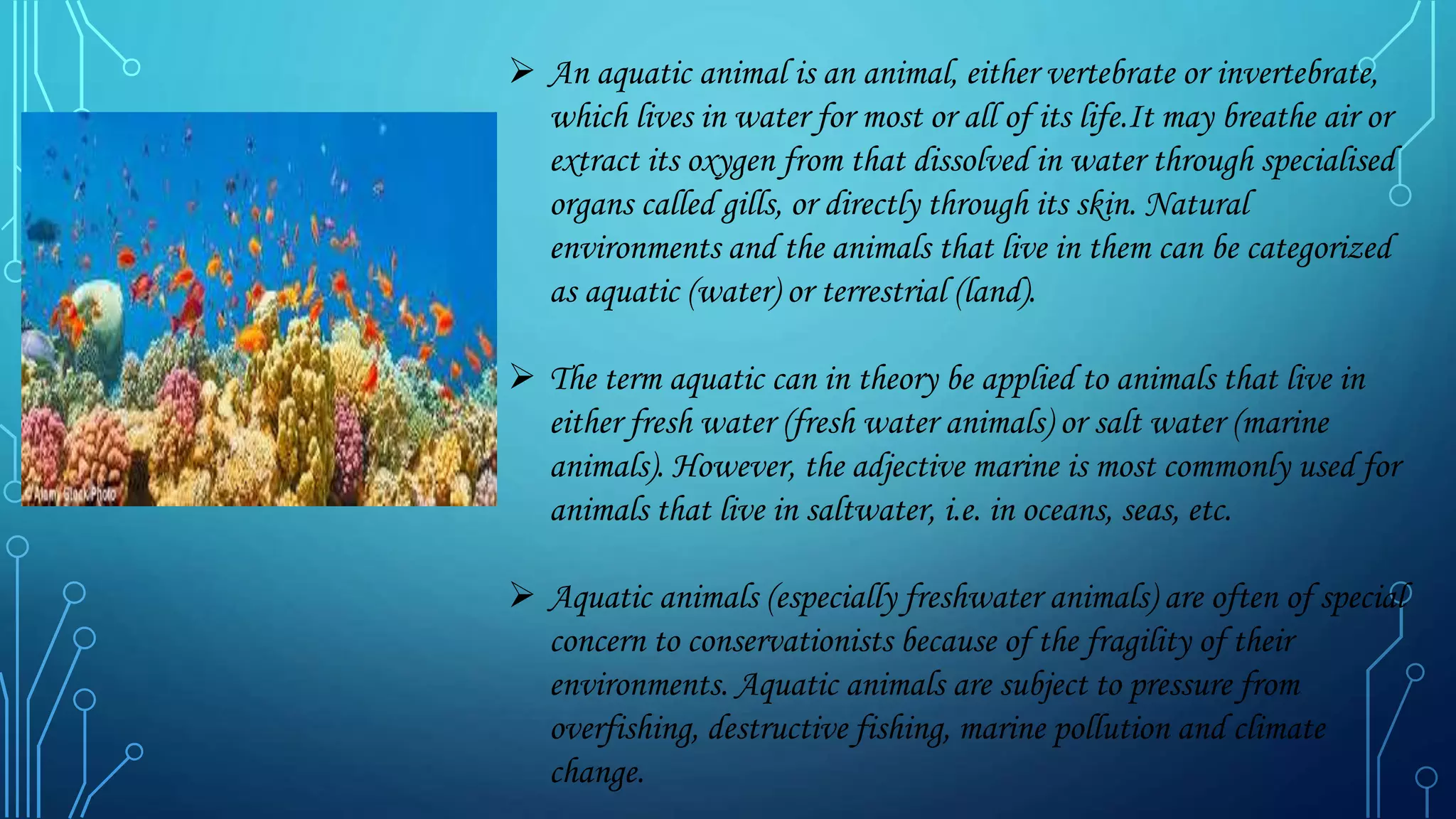 Water kingdom | PPTX