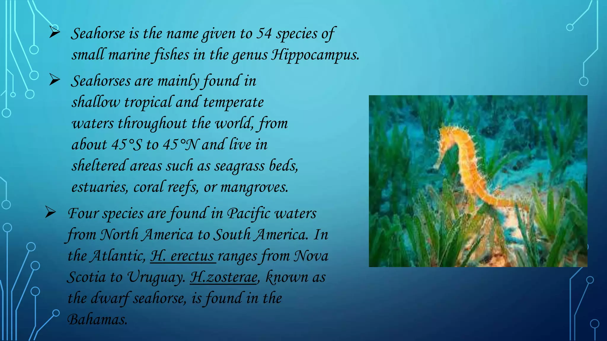 Water kingdom | PPTX