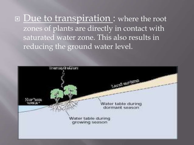 GROUNDWATER LEVEL FLUCTUATION | PPTX | Geography | Science