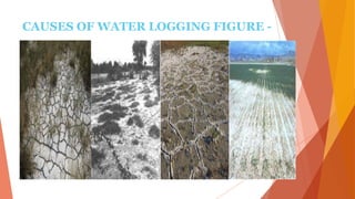 Water logging | PDF