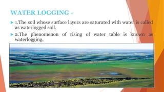 Water logging | PDF