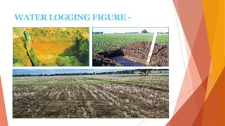 Water logging | PDF