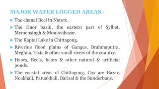 Water logging | PDF