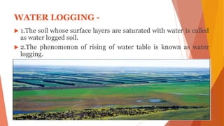 Water logging | PPTX