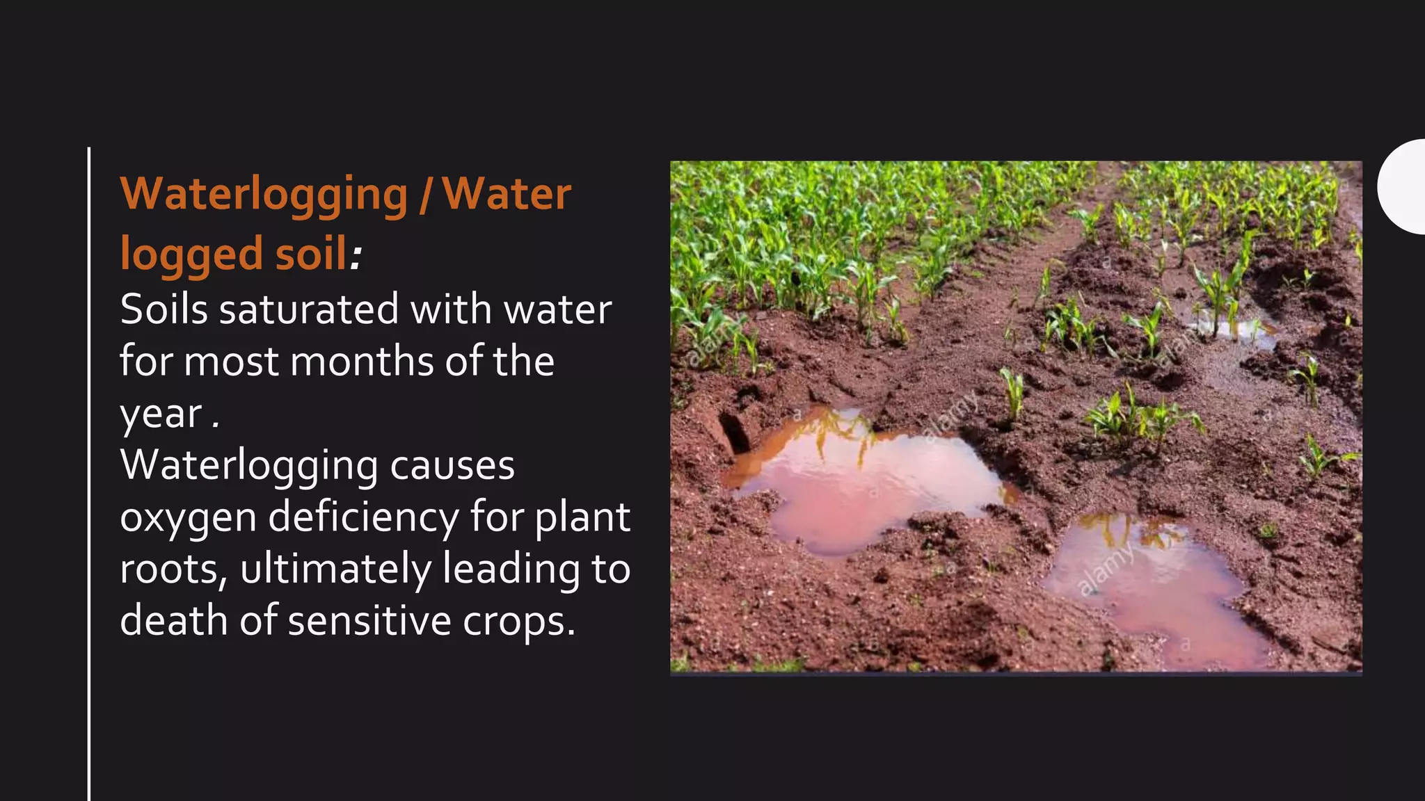 Water logging and its effect and control measures | PPTX