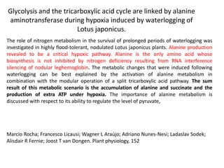 WATERLOGGING important slides.pptx