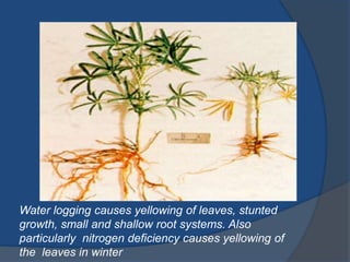 Water logging - An ill-effect of Irrigation | PPTX