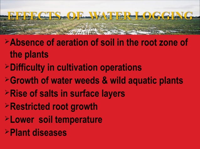 Water logging and salinity control | PPT | Agriculture | Industries