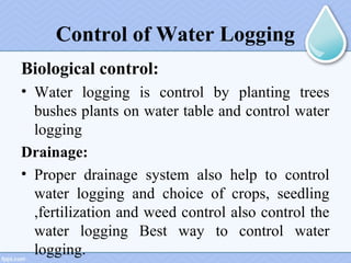 Water logging soils | PPT